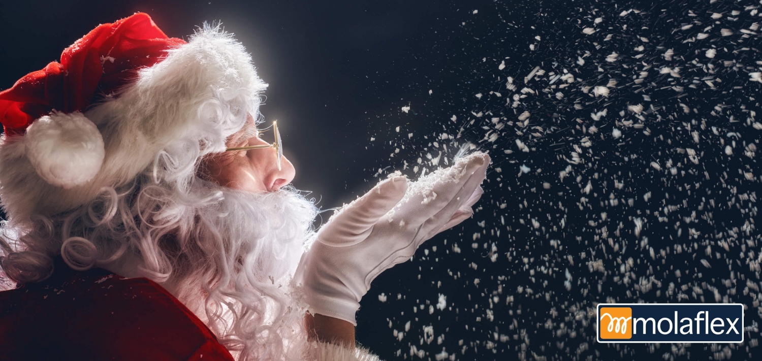 10 FACTOS INTERESSANTES SOBRE O PAI NATAL - Molaflex